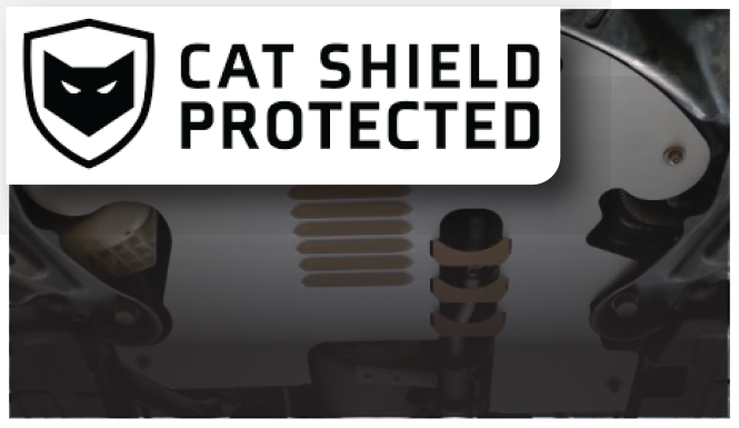 Operation Etch and Catch